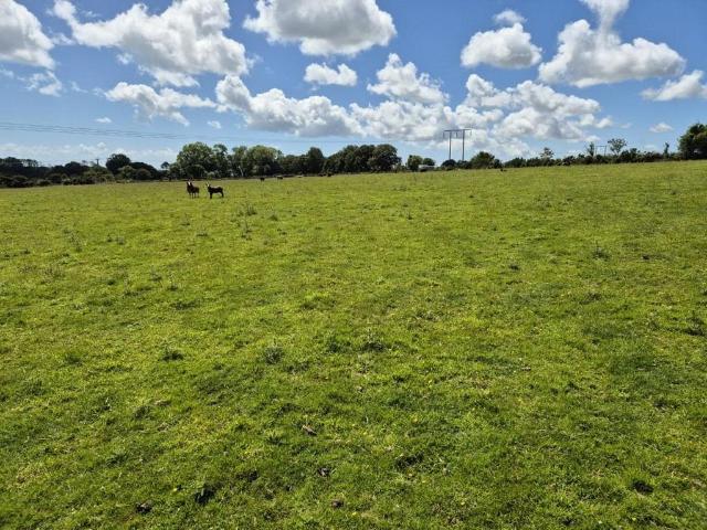 Land for sale