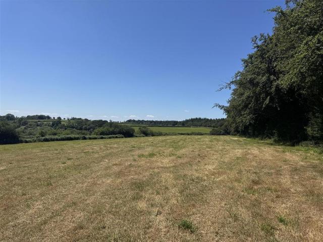 Land for sale
