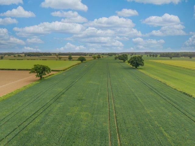 Land for sale