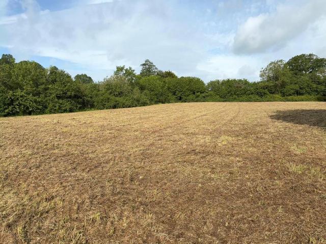 Land for sale