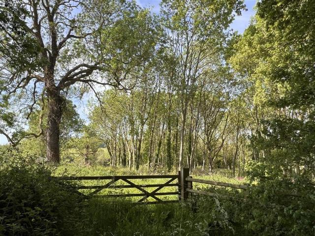 Land for sale