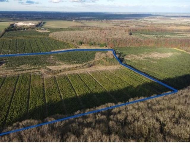 Land for sale