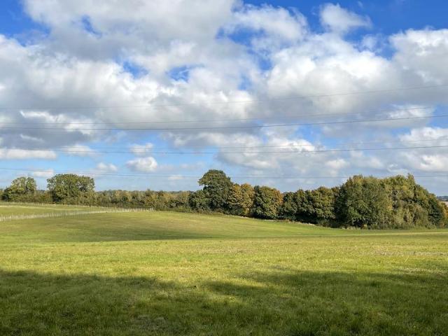 Land for sale