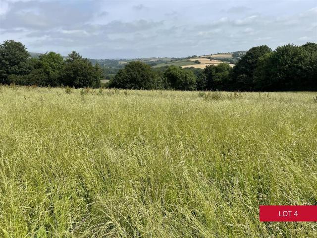 Land for sale