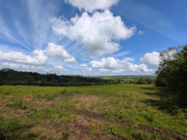 Land for sale