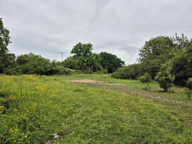 Land for sale