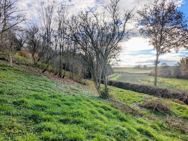 Land for sale