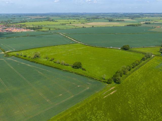 Land for sale