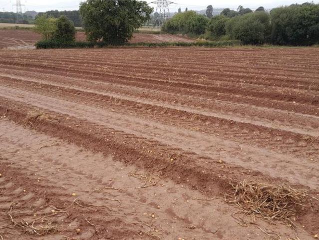 Land for sale