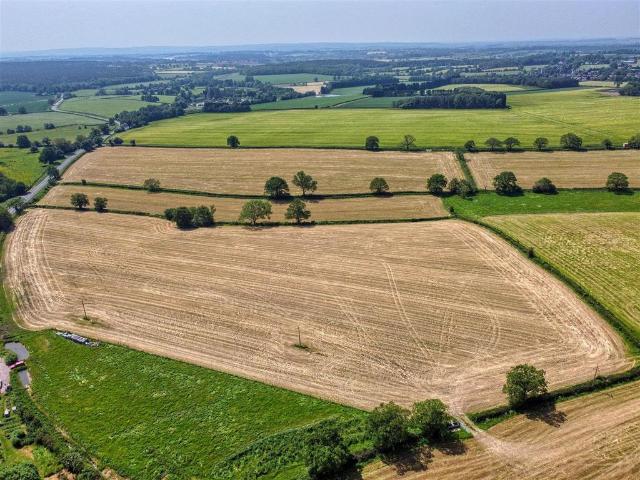 Land for sale