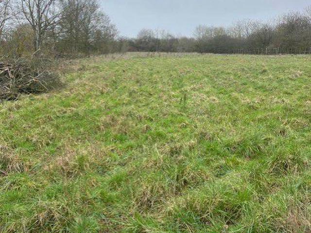 Land for sale