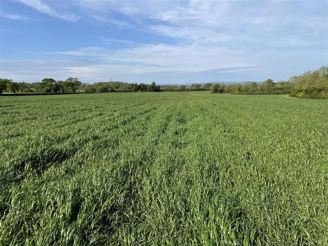Land for sale