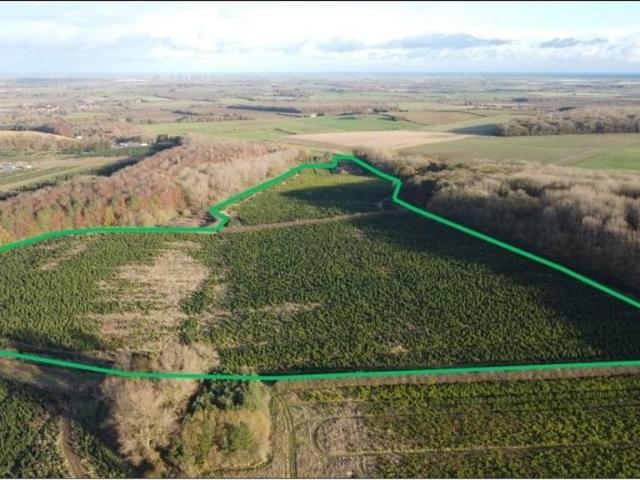 Land for sale