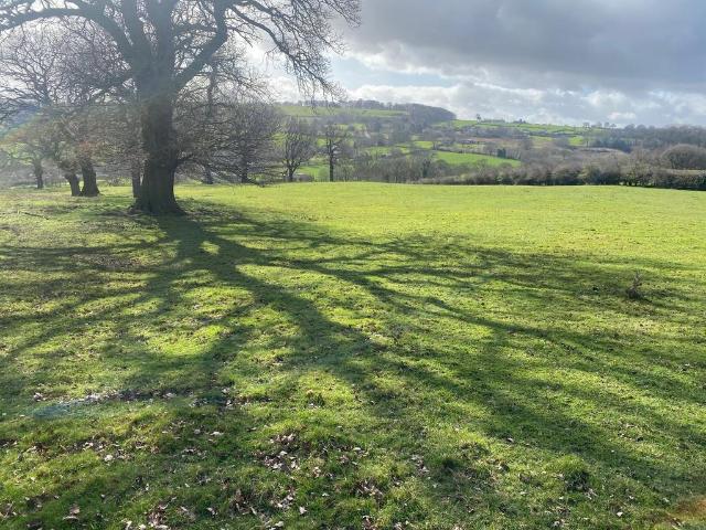 Land for sale
