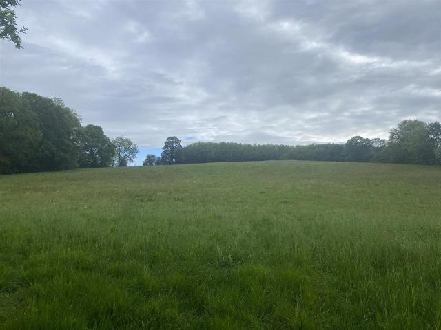 Land for sale