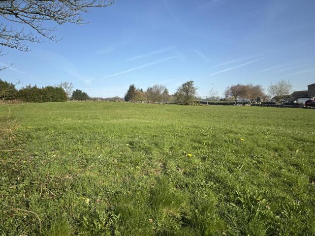 Land for sale