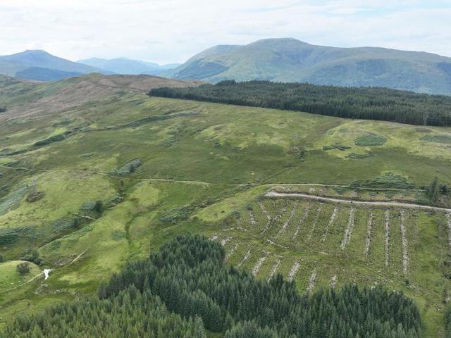Land for sale