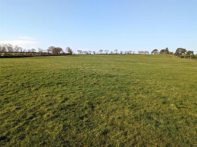 Land for sale