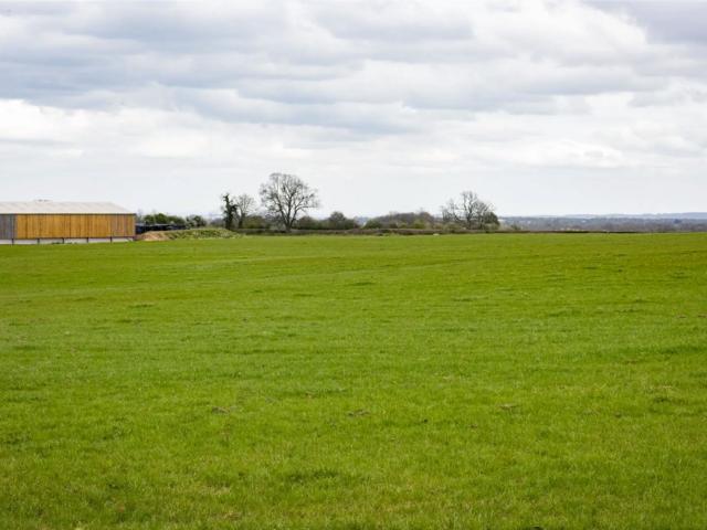 Land for sale