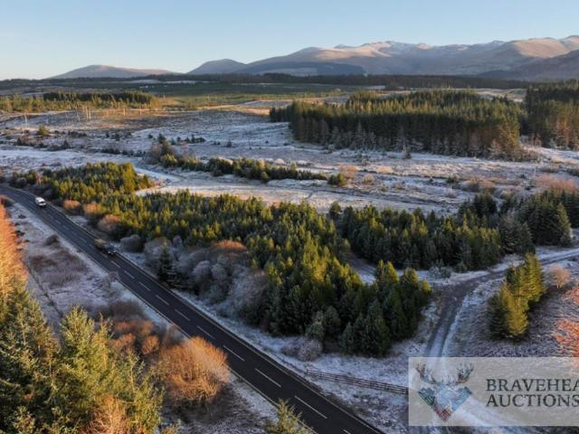 Land for sale