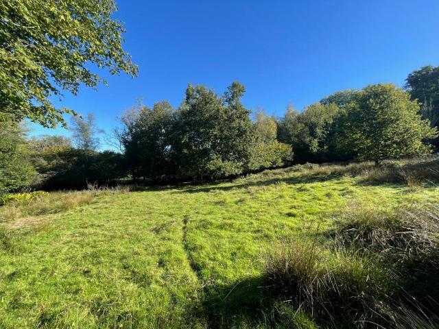 Land for sale