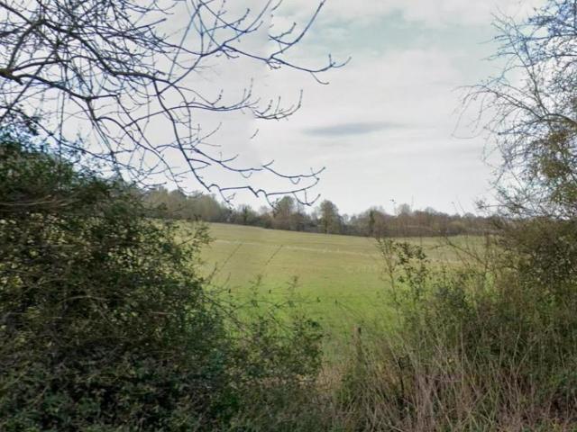 Land for sale