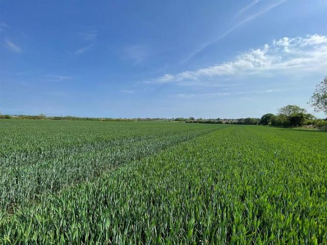 Land for sale