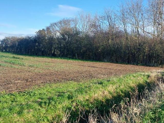 Land for sale
