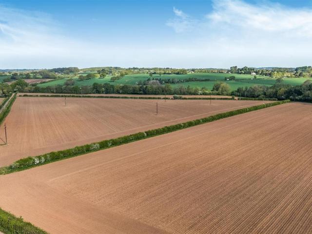 Land for sale