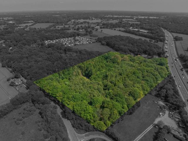 Land for sale