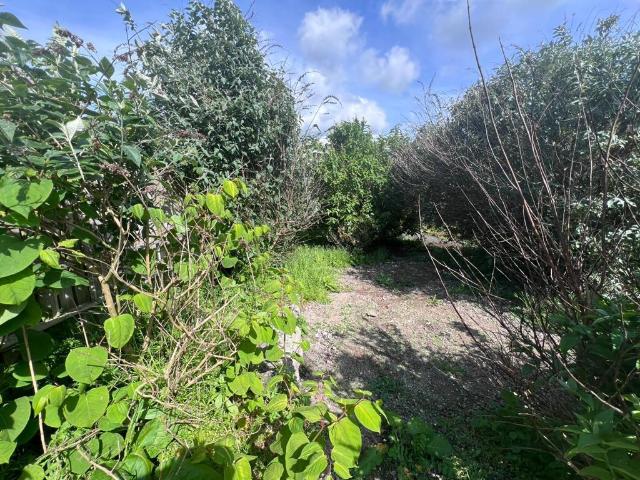 Land for sale