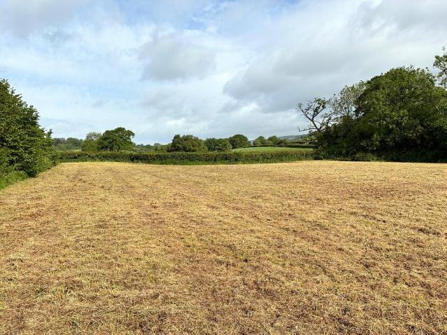 Land for sale