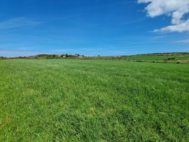 Land for sale