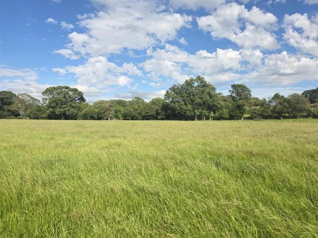 Land for sale