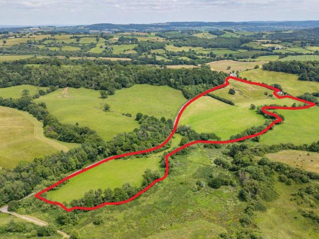 Land for sale