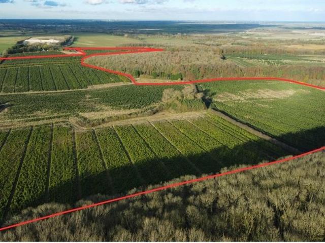 Land for sale