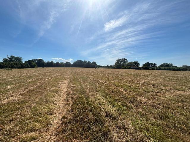 Land for sale