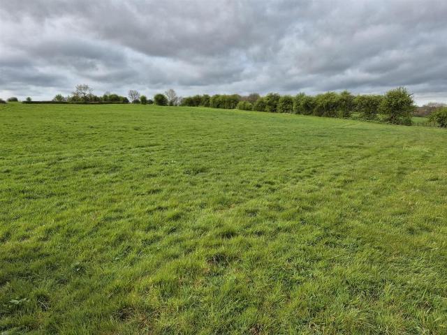 Land for sale