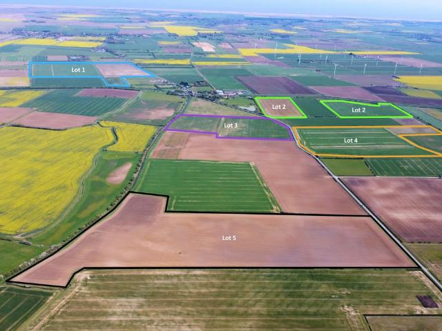 Land for sale