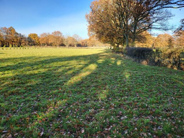 Land for sale