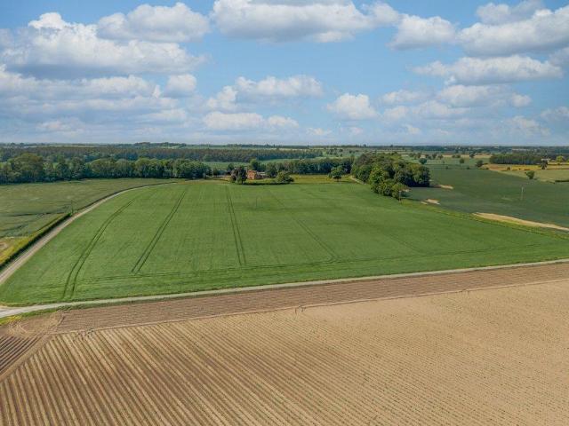 Land for sale