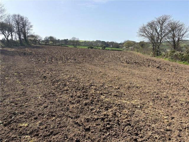 Land for sale