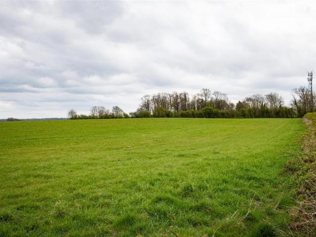 Land for sale