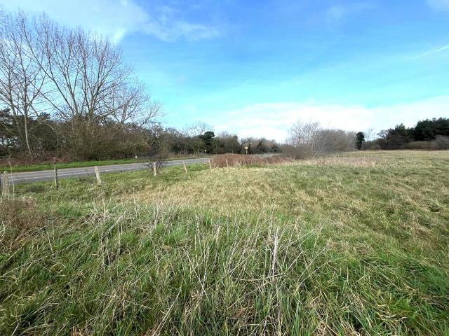 Land for sale