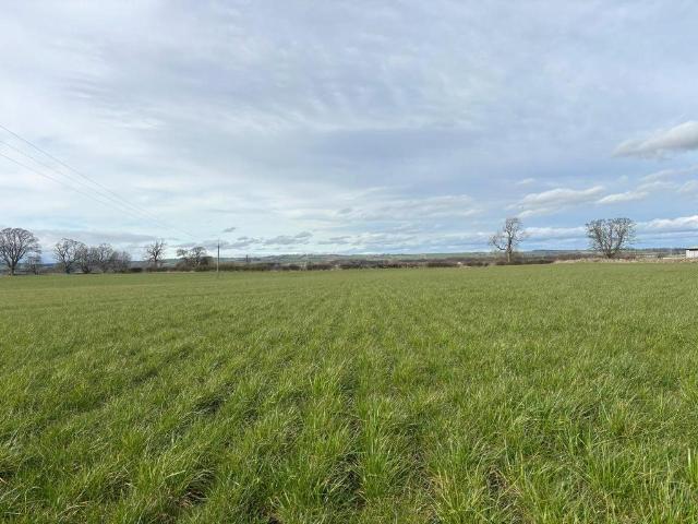 Land for sale