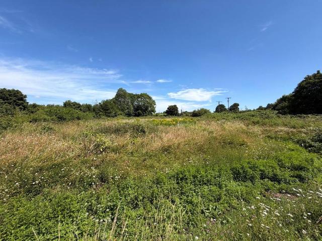 Land for sale