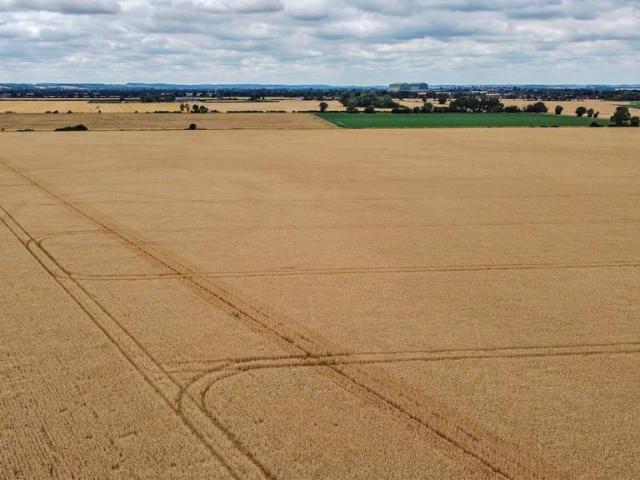 Land for sale