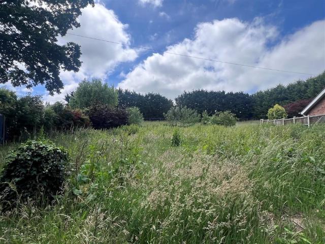 Land for sale