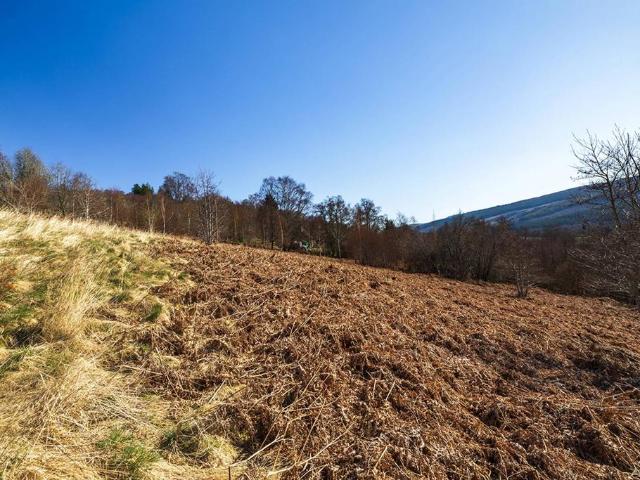 Land for sale
