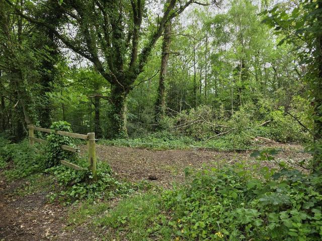 Land for sale